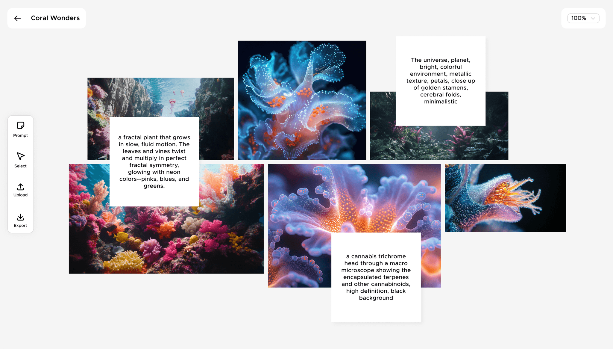 Canvas - Morph Studio